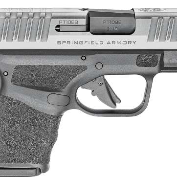 Pistol – Alpha Guns and Ammo